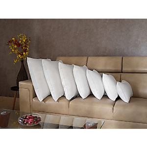 18 x 18 Throw Pillow Insert - Pack of 2 White Throw Pillows, Down Alternative Pillow Inserts for Decorative Pillow Covers, Throw Pillows for Bed, Couch Pillows for Living Room