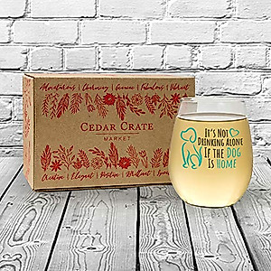 It's Not Drinking Alone If The Dog Is Home - Gifts for Dog Lovers, Stemless 15 oz. Cute and Funny Dog Wine Glass with Gift Box for women, men, Pet Mom Gifts, Happy Birthday Wine Glass for Dog Owners
