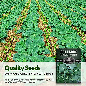 Survival Garden Seeds - Georgia Southern Collards Seed for Planting - Pack with Instructions to Plant and Grow Healthy Collard Greens in Your Home Vegetable Garden - Non-GMO Heirloom Variety - 5 Packs