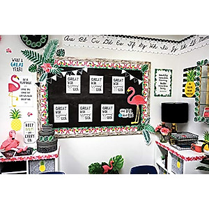 CTP Flamingos EZ Border Bulletin Board Border for Classroom (Creative Teaching Press 10486), 48 ft per Package