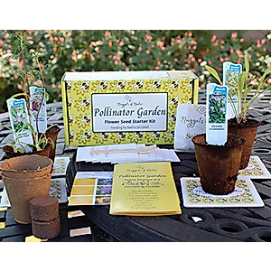 Nuggets of Nectar Pollinator Garden Flower Seed Starter Kit - Grow 6 Types of Wildflower Seeds Including Cosmos, Calendula, Bee Balm, Bachelor Button, Calliopsis and Black Eyed Susan Seeds