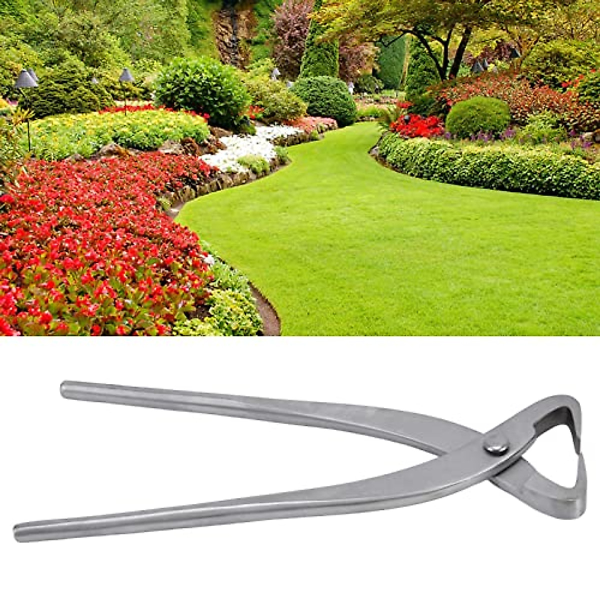 MIGONG Bonsai Scissors, 210Mm Profession Bonsai Tools Portable Tree Branch Cutter Stainless Steel Bonsai Bonsai Tree Kit for Even Flowers Fruit Trees Bonsai Garden Plants Home Plants
