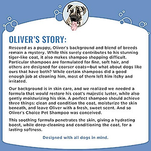 Dog Shampoo with Oatmeal and Aloe. Shea Butter for Smelly Dogs, Puppy Shampoo by Oliver's Choice 14 oz