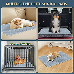 FunFurry Washable Guinea Pig Cage Liner - 2 Pack Reusable Washable Pee Pads，Waterproof Guinea Pig Bedding for Small Animal - Rabbit Bunny Hamster Puppy (Light Grey, 24" X 47" - 2 Pack)