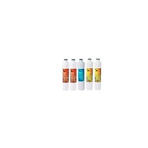 Watts (WQC4RO11) 11'' Elements 4 Filter Quick Change RO Unit Replacement Filter Annual Bundle