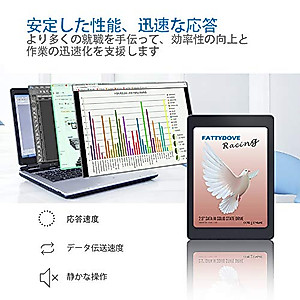 FATTYDOVE 2.5 inch SSD 240GB Internal Drive SATA III 6 Gb/s Solid State Drive with SATA 3.0 Cable for 4K Video Game/PC (240GB SSD Drive)