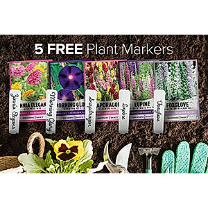 Hummingbird Seeds for Planting Outdoors Flower Seeds (5 Variety Pack) Zinnia, Foxglove, Lupine, Morning Glory, Snapdragons Varieties for Bees, Pollinators Wildflower Seed by Gardeners Basics