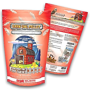 20 Small Barn Owl Pellet Dissection Kit with Paddle Pick & Bone Charts