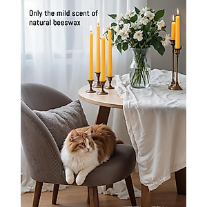 Viyffo 8 Inch Beeswax Taper Candles Set of 6, Natural Unscented Bee Wax Candle, Long Tall Tapered Candlesticks Wedding Home Decor Dinner