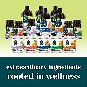 EverRoot By Purina Calming Dog Supplements Soft Chews - 10.6 oz. Canister