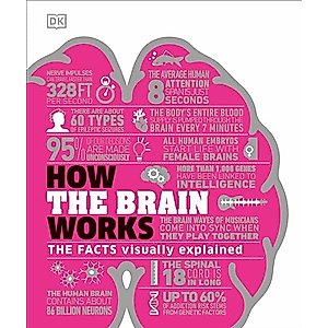 How the Brain Works: The Facts Visually Explained (DK How Stuff Works)