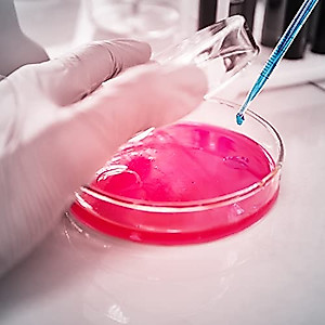 stonylab Glass Petri Dish, 90x20 mm Autoclavable Borosilicate Glass Cell Culture Dish Petri Dish with Clear Lid for Laboratory