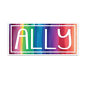 Set of 2 Pride Ally Stickers, Ally Stickers, Pride Stickers, Pride Sticker Set, Equality Stickers, Equal Rights Stickers, Gay Pride Stickers, LGBT Ally Stickers
