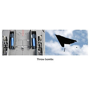 Sky Flight Hobby/Lanxiang/LX 70mm EDF Jets F117 Nighthawk PNP/ARF RC Flighter Plane