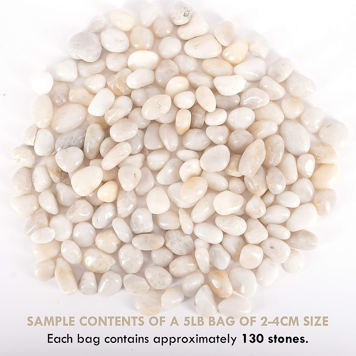 Galashield 5 lbs Approx. 130 White River Rocks Stones for Plants Pebbles for Indoor Plants | Aquarium Fish Tank Rocks | Polished Decorative Rocks for Vases (0.8-1.6 Inches)