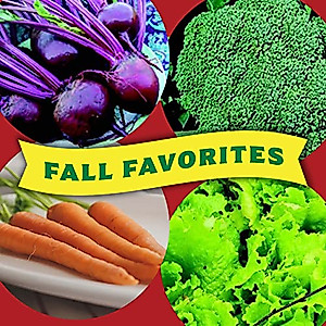 Seeds N Such 2300 Hand Selected Comfort Food Vegetable Garden Seeds | 5 Individually Packaged Seeds - Red Beets, Carrots, Broccoli, Cauliflower & Black Seeded Simpson Lettuce | Untreated & Non-GMO