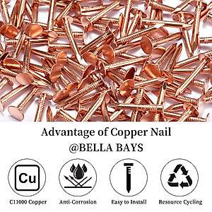Copper Roofing Nail Set - 60 Pcs 1-Inch Copper Nails & 1/16 Inch Drill Bit, C11000 99.95% Pure Copper Nails for Roof Repair,Roof Flashing, Tree Maintenance, Stump Removal, and DIY Project