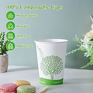 ECOLipak 240 Pack 12 oz Compostable Paper Cups, Biodegradable Disposable Paper Coffee Cups with PLA Lined, Eco-friendly Hot Drinking Cups for Party, Picnic,Travel,and Events