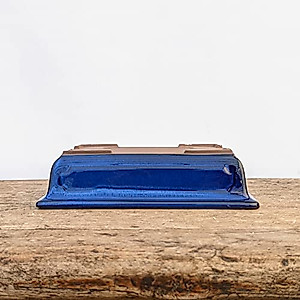 Bonsai Pots for Decorative Planting, Nine-Inch Blue Glazed Bonsai Planter, Drainage Mesh Screen Included, Used as Starter Ceramic Pots for Bonsai, Succulents or a Wide Variety of Houseplants