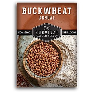 Survival Garden Seeds - Buckwheat Seed for Planting - Packet with Instructions to Plant and Grow a Cover Crop and Buckwheat Plants in Your Home Vegetable Garden - Non-GMO Heirloom Variety