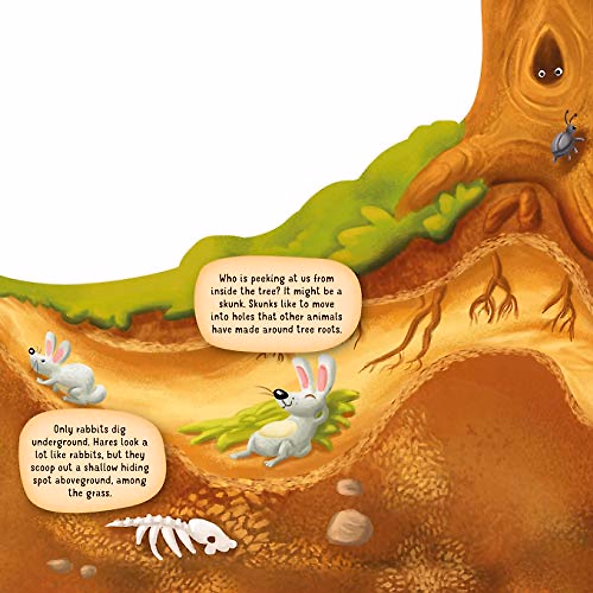 Discovering the Secret World of Nature Underground (Happy Fox Books) Board Book Takes Kids Ages 3-6 Deep into the Ground with Every Turn of the Page, plus Fun Facts and Vocabulary Words (Peek Inside)