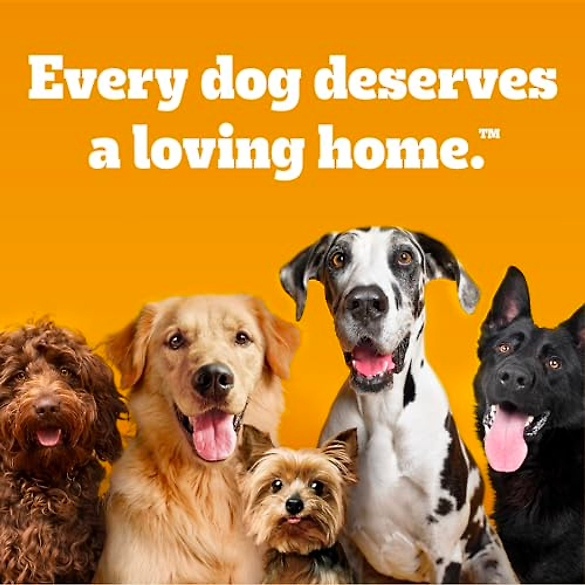 PEDIGREE CHOICE CUTS IN GRAVY Adult Canned Soft Wet Dog Food Variety Pack, with Beef and Country Stew, 13.2 oz. Cans (Pack of 12)