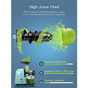 Juicer Machines, HOUSNAT Professional Celery Slow Masticating Juicer Extractor Easy to Clean, Cold Press Juicer with Quiet Motor and Reverse Function for Fruit & Vegetable, Brushes & Recipes Included