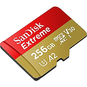 SanDisk Extreme V30 A2 (Bulk 2 Pack) 256GB Micro SD Card for DJI FPV Drone (SDSQXA1-256G-GN6MN) UHS-I U3 Class 10 4K SDXC Bundle with (1) Everything But Stromboli MicroSDXC Memory Card Reader