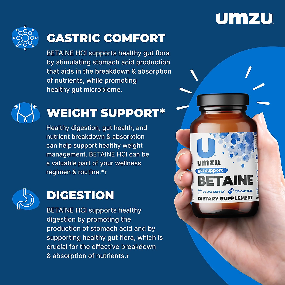 UMZU Betaine HCl Supplement | Digestive Support, Gastric Comfort, Nutrient Absorption & Cardiovascular Support | Natural Digestion & Gut Health Aid (120 Capsules)