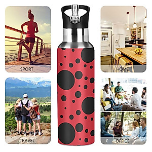 xigua Ladybug Water Bottle Double Walled Stainless Steel Leak Proof Thermo Flask for Sports Gym Cycling Outdoor,20 oz.