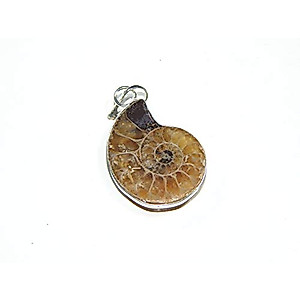 XUETZALCOATL Golden Shaligram Locket Energized 1 Pcs