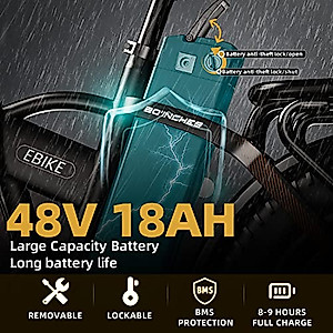 EUY Folding Electric Bike for Adults,48V18Ah/16Ah Removable Lithium Battery, 750W Motor 30MPH Electric Bicycle, 20" Fat Tire Electric Commuter Beach Snow Bicycle,Shimano 7-Speed,Dual Shock Absorber