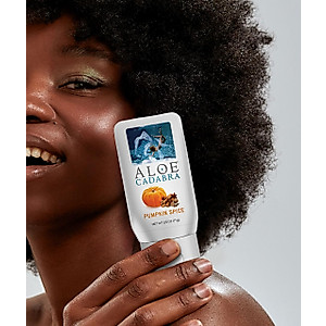 Aloe Cadabra Natural Personal Lube, Organic Best Lubricant Gel for Her, Him & Couples, Pumpkin Spice 2.5 Ounce (2.5 Ounce (Pack of 1))