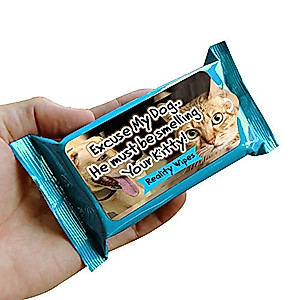 Excuse My Dog Wipes - Funny Dog and Cat Lovers Gag Gift for Adults - Adult Stocking Stuffers Made in America - Travel Size