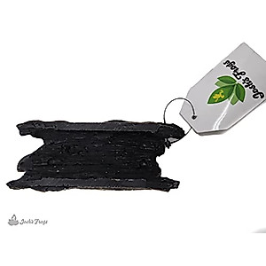 Josh's Frogs Half-Log Herp Hide (Mini)