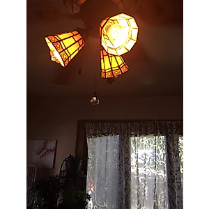 Rolay 6 Pack, 25 Watt Vintage Edison Light Bulb with Squirrel Cage Filament, 110~130 Volts, E26 Base