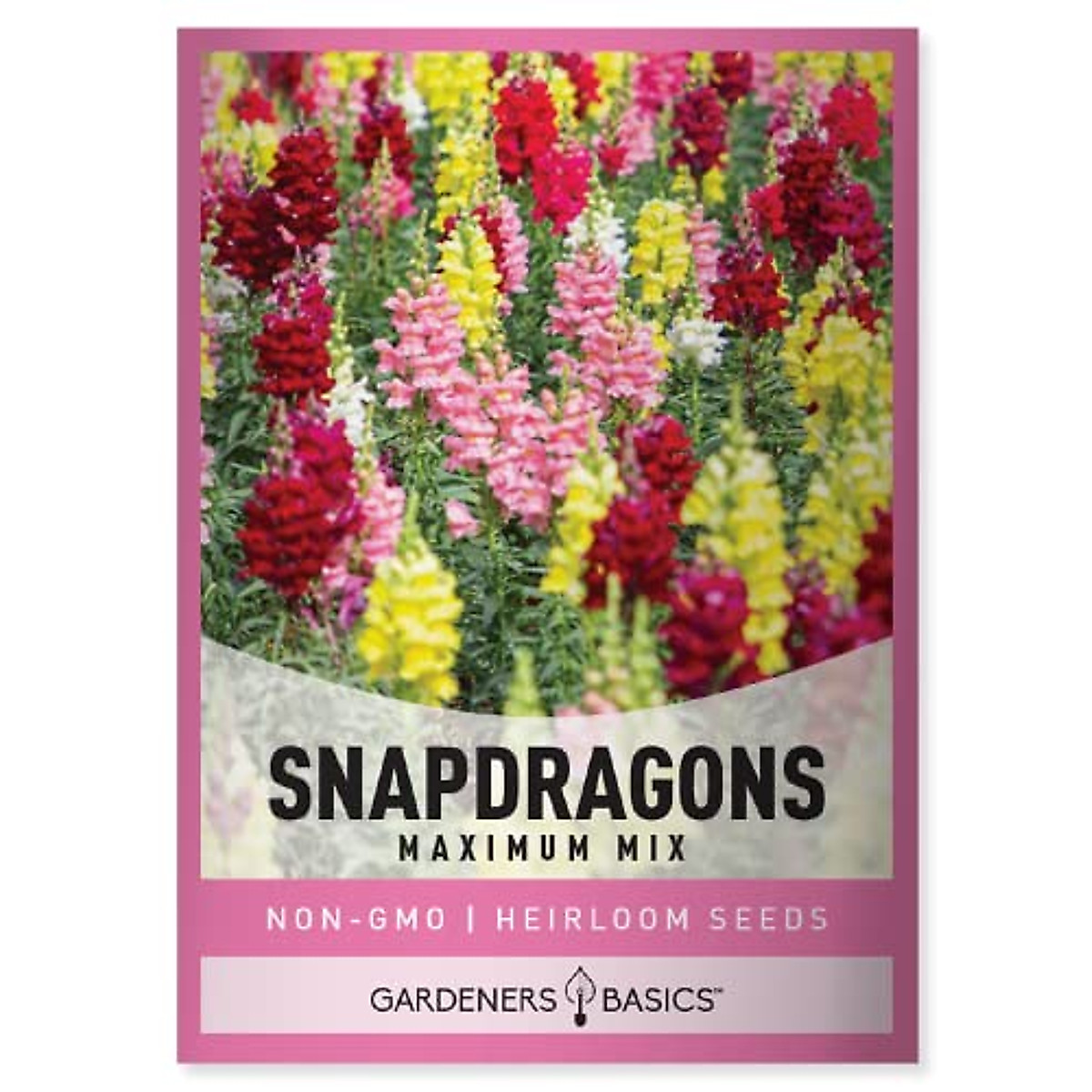 Snapdragon Seeds for Planting (Maximum Mix Snap Dragon) Annual Flower Heirloom, Non-GMO Variety- 400mg Seeds Great for Summer Seeds for Gardening Flowers Gardens by Gardeners Basics