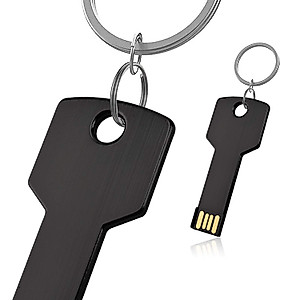 RAOYI 10 Pack 2GB USB Flash Drive USB 2.0 Metal Key Shape Memory Stick Thumb Drive Pen Drive-Black