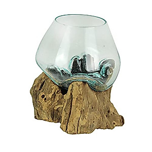 Chesapeake Bay Medium Glass Bowl On Driftwood, Brown, 7.5 Inch