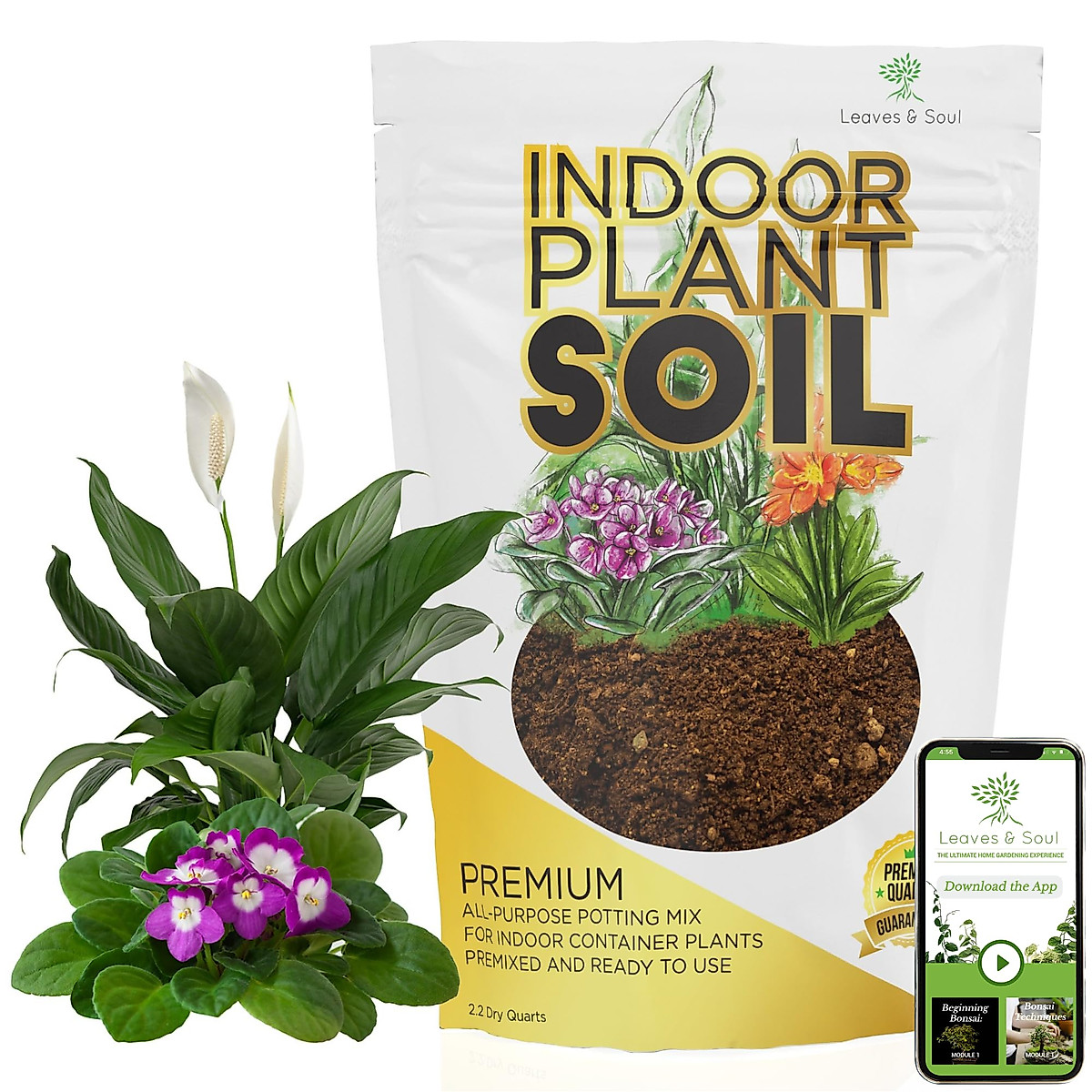 Indoor Plant Soil Premium All Purpose Blend | Large 2.2 Quarts | Ready to Use for Indoor Container and Houseplants | Peat, Coco Coir, Perlite, Dolomite | Made in USA