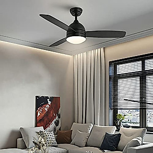 warmiplanet Ceiling Fan with Lights Remote Control, 48-Inch, Black, Silent Motor, 3-Blades