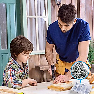 376pcs Premium Hardware Nails Assortment Kit, Maximum Length 2 Inches Galvanized Nails, Picture Hanging Nails, Wood Nails, Wall Nails with Storage Box | 6 Sizes