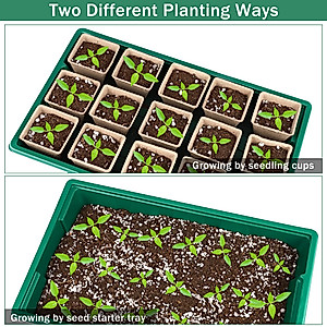 Hahood 6 Pack Seed Starter Tray Kit with 120 Square Peat Pots for Seedlings, Including Plants Labels, Planting Tools, Growing Trays Plastic Germination Tray Paper Starter Pods for Plant Seeds, Green