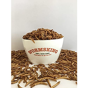 WORMSKING 5LB Dried Black Soldier Fly Larvae, High Calcium for Chickens