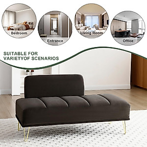 Vanress Modern Loveseat Sofa Couch,Velvet Sofa Settee,Upholstered Couch Bench with Gold Legs,Armless for Living Room, Bedroom, Apartment Small Spaces (56.23" Grey)