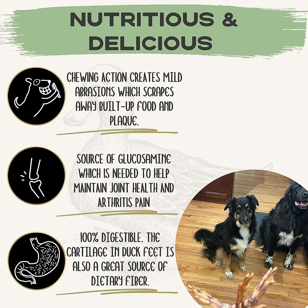 JACK'S PREMIUM Dehydrated Duck Feet Dental Dog Treat All Natural Chew Fully Digestible Made in USA - Source of Glucosamine and Chondroitin for Joints