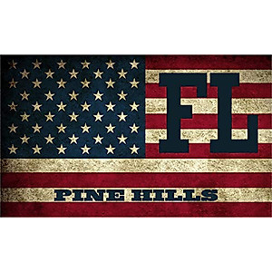 (x3) 2x3 inch Stickers | Reflective Pine Hills FL Florida Orange County Vintage US Flag Sticker Graphic - Construction Toolbox, Hardhat, Lunchbox, Helmet, Mechanic, Luggage