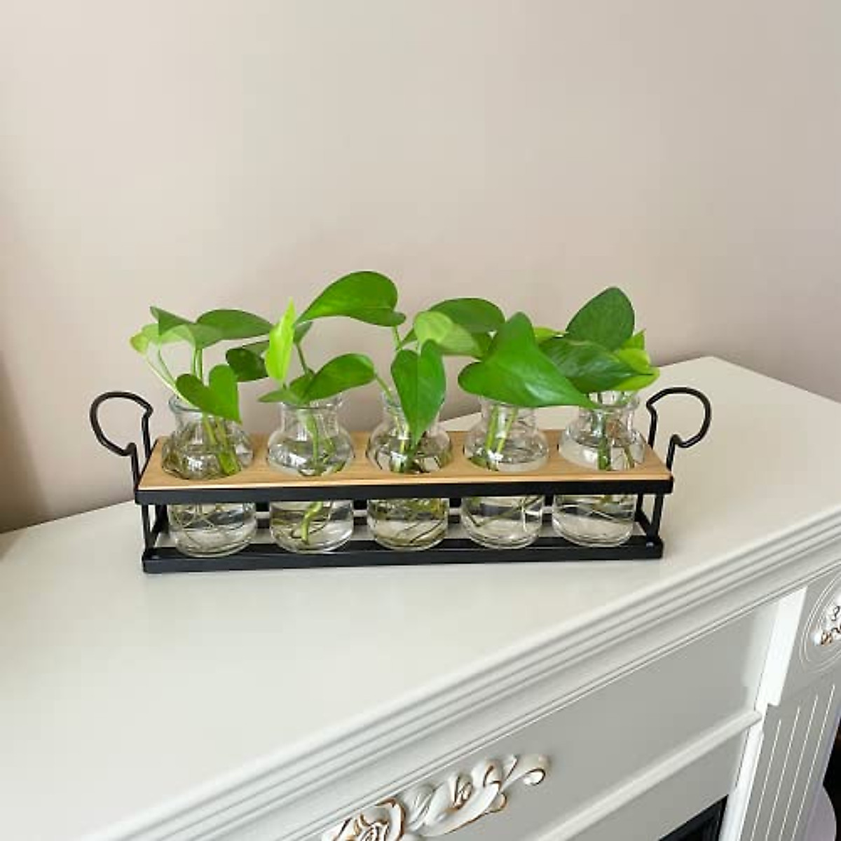 THYGIFTREE Plant Propagation Stations with Metal Stand, Tabletop Plant Terrarium for Propagating Hydroponic, Retro Glass Planter Flower Vase Home Kitchen Office Decor, Plant Lover Gifts, 5 Jars