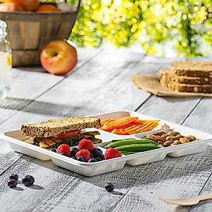 Comfy Package, 100% Compostable 5 Compartment Plates Eco-Friendly Disposable Sugarcane 10 inch Paper Trays