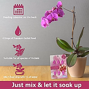 Chrysal Orchid Food Drops — Orchid Care — One Pack for a Year Supply — Concentrated Flower Food for All Species of Orchids — Ideal Florist Supplies — Outdoor and Indoor Plant Food